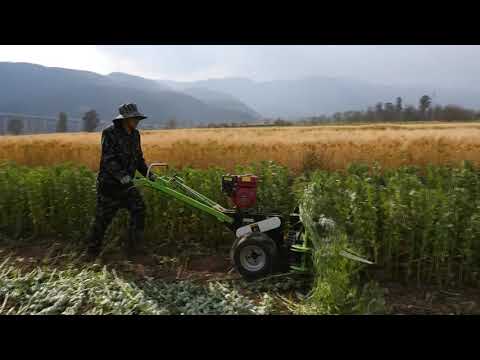 4G120D fava bean cutter reaper, how to cut/harvest the fava bean alfalfa?