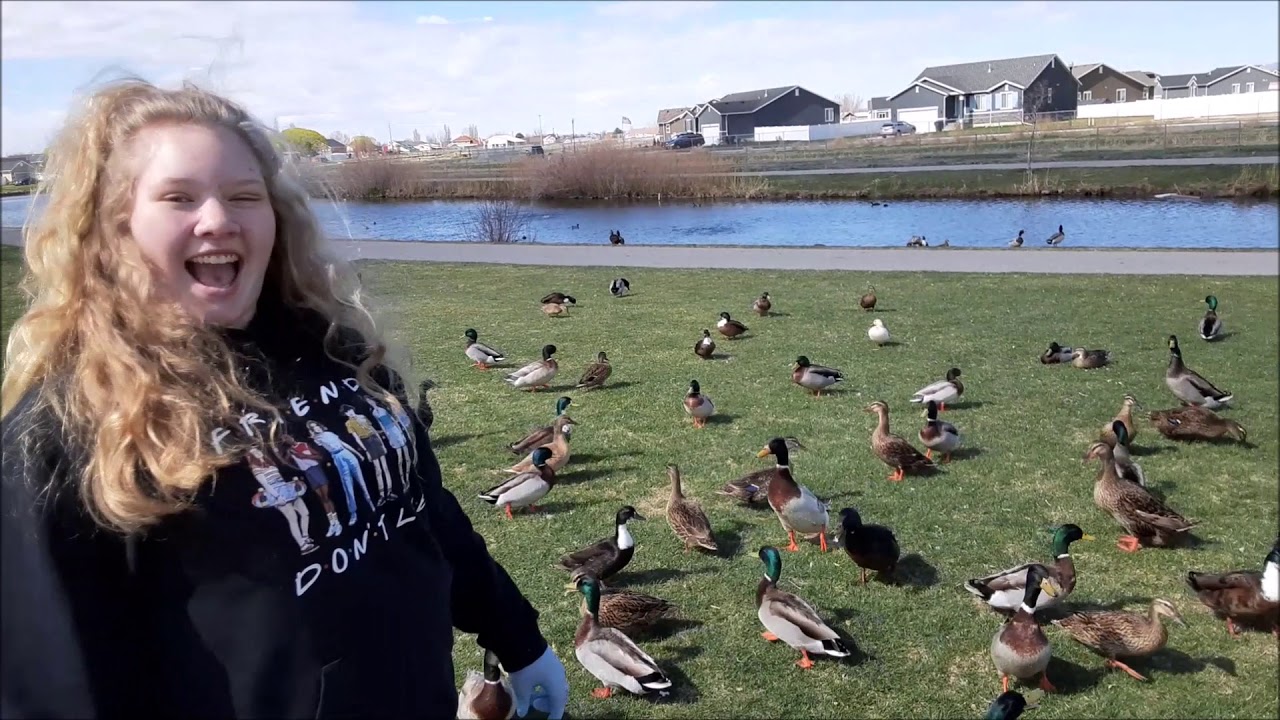 SOCIAL DISTANCING FEEDING THE DUCKS | ASMR | BIRDS GONE WILD - YouTube