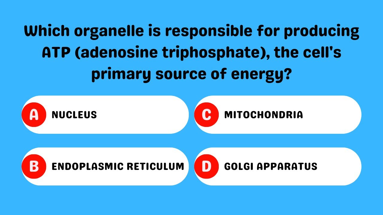 Mighty Mitochondria Cell Youtube