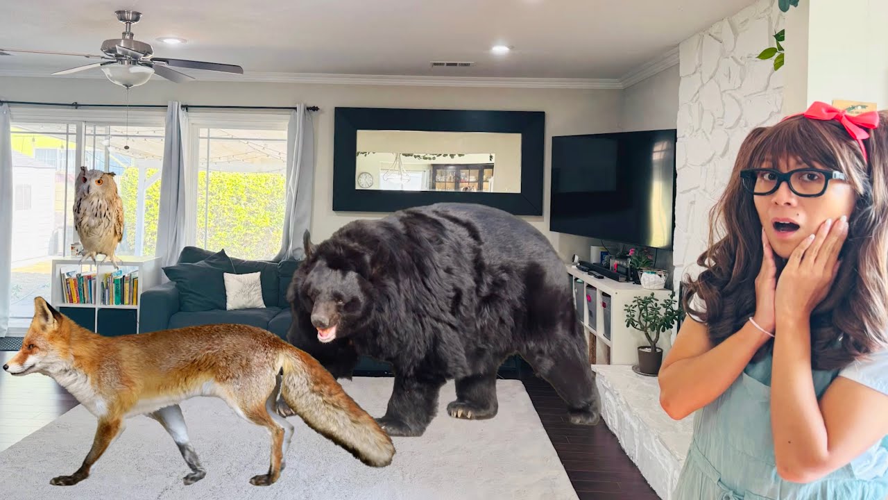 Soso’s Magical Forest Adventure: Wand Brings Forest Animals in The Book ...