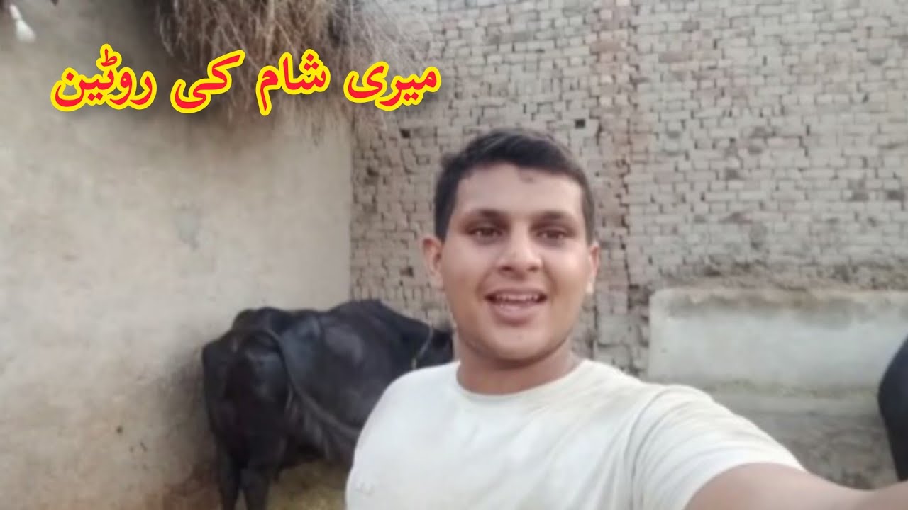 My Evening Routine Vlog Short Vlog Youtube