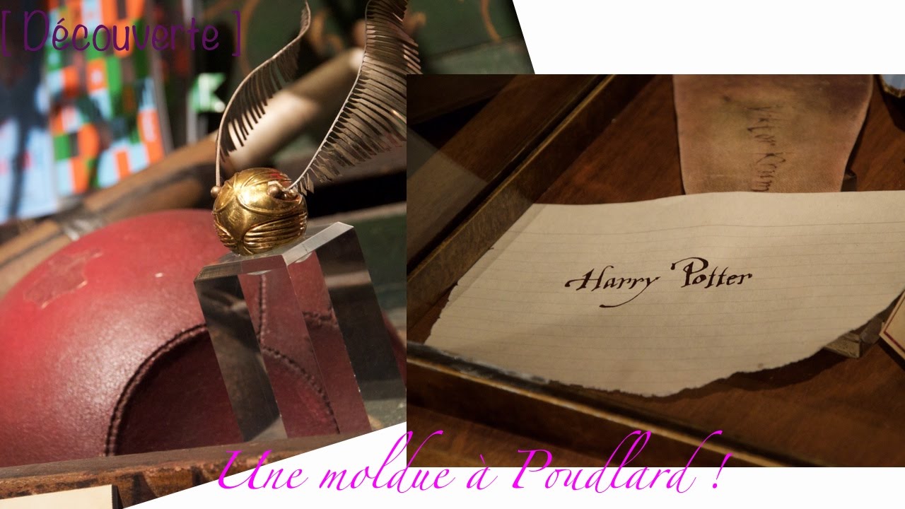 [ Découverte n°2 ] : Une moldue à Poudlard (Harry Potter The exhibition ...
