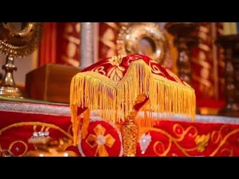 Nayavan Pana Pole Thalirthidume-Holy qurbana song