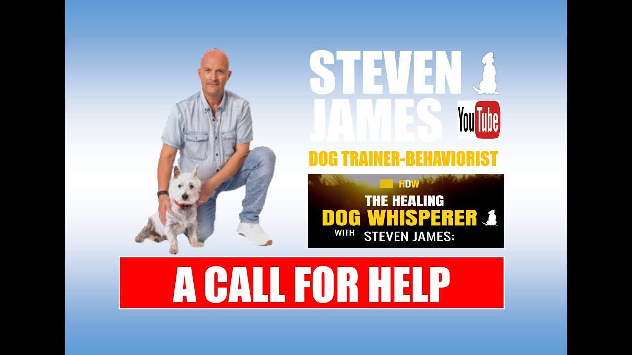Steven James Dog Trainer-Behaviorists. A CALL FOR HELP: Steven James ...