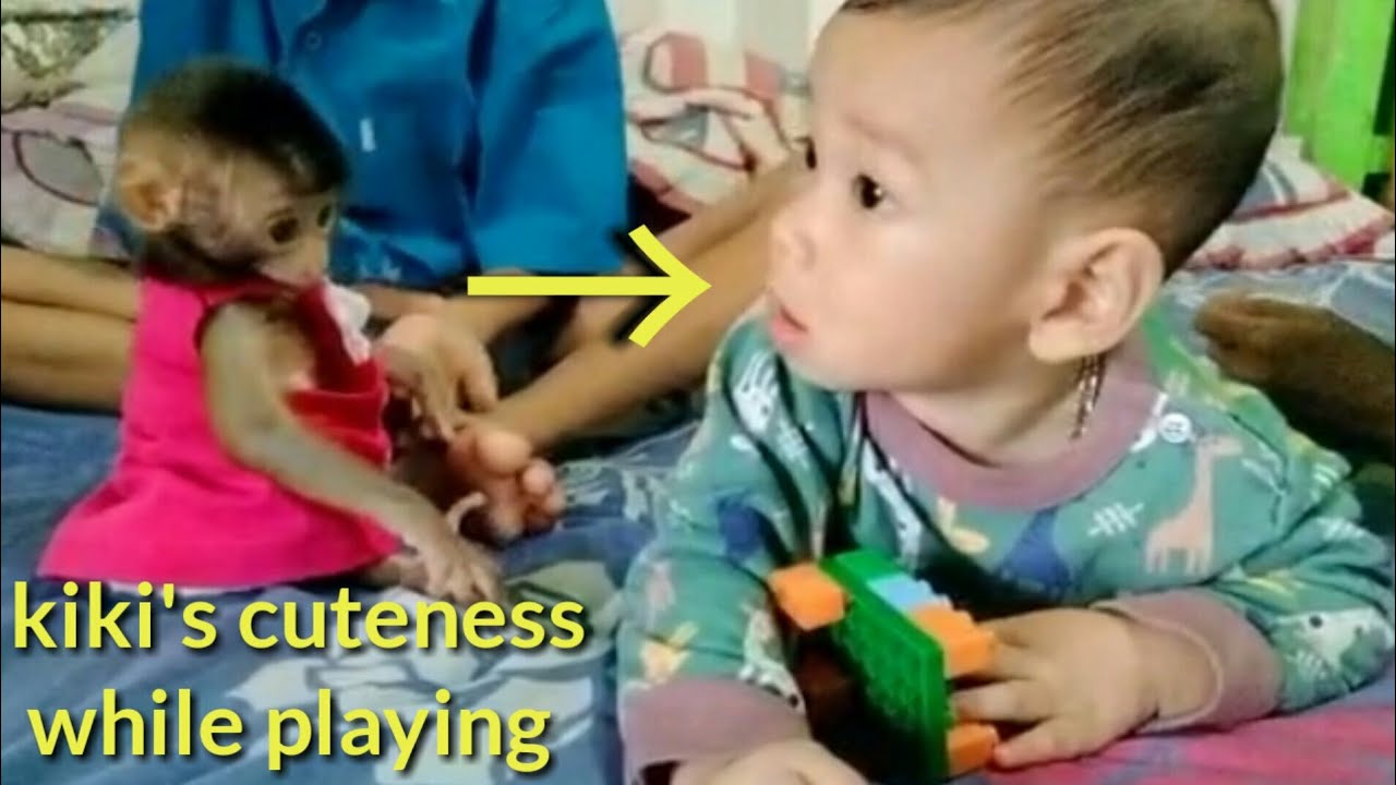 baby kiki really like to Play together, kiki animal #cute baby - YouTube