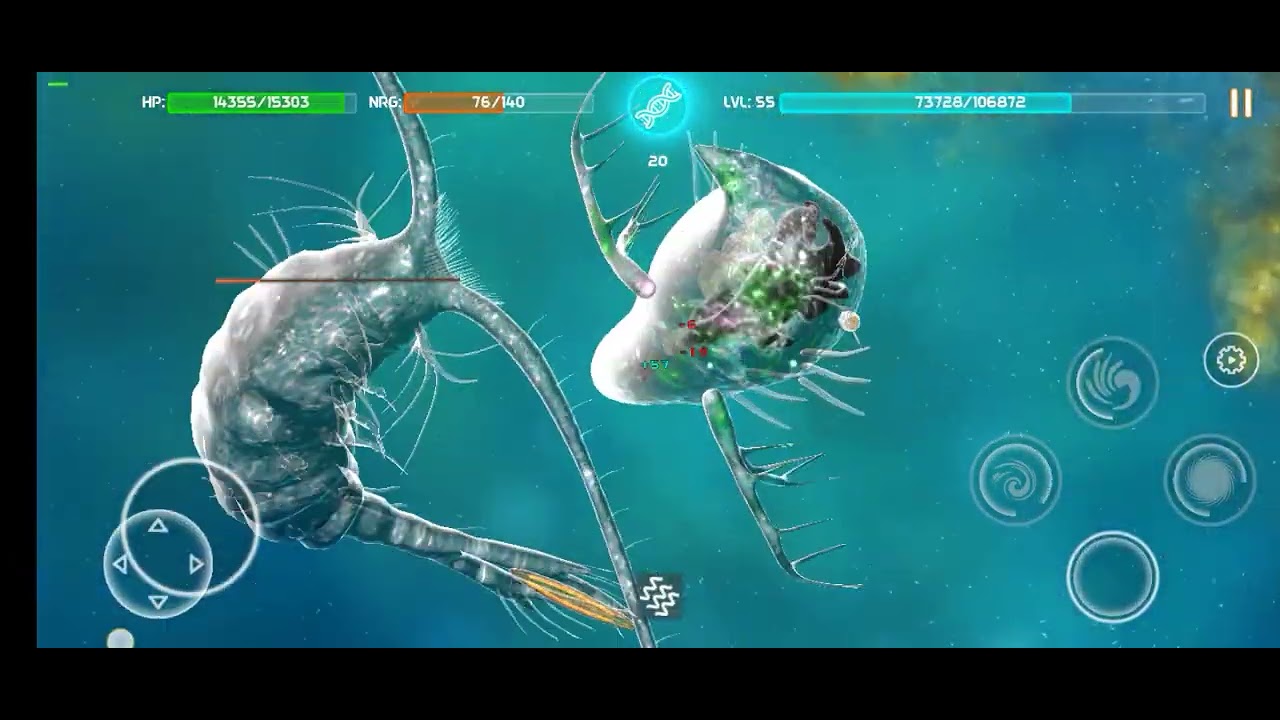 bionix!! copepod vs daphnia part 1 - YouTube