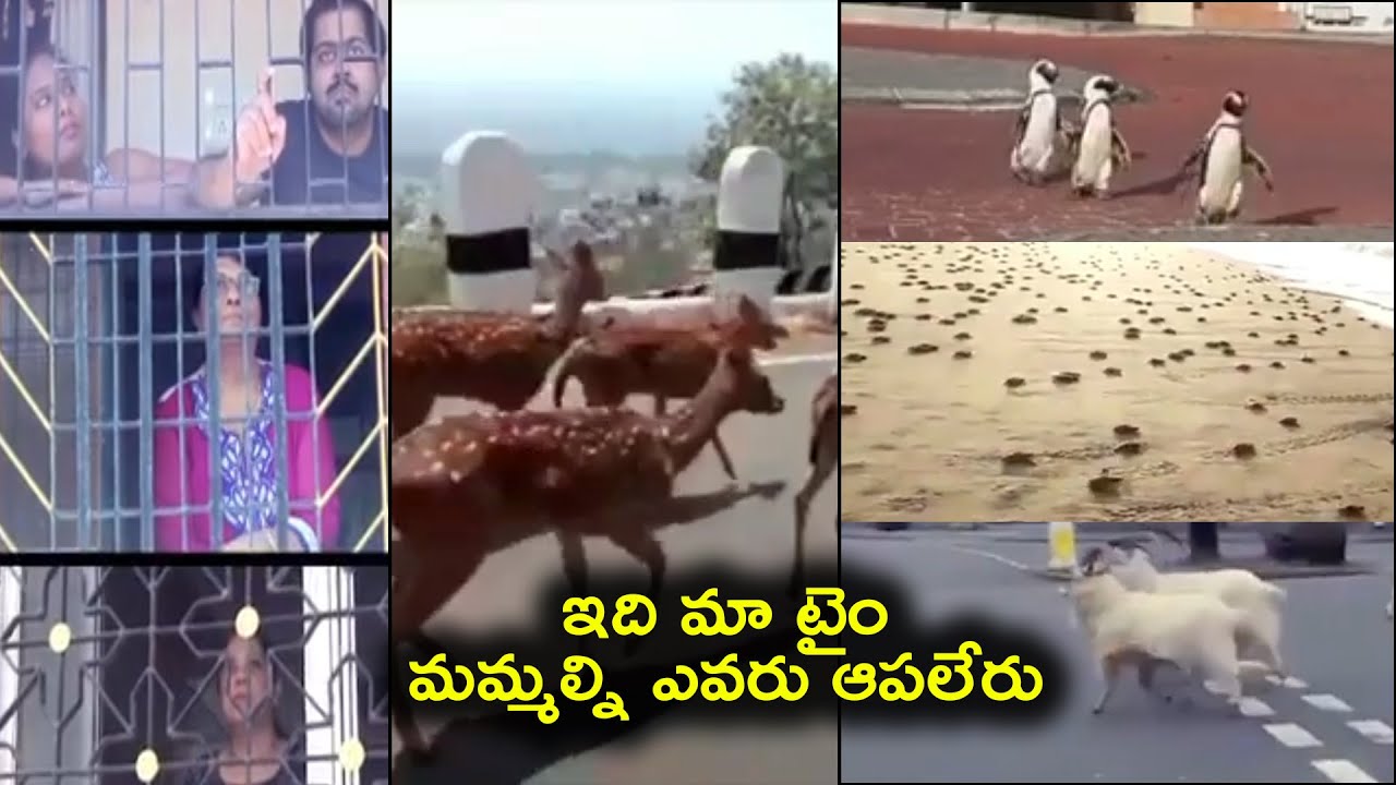 It's Time For Nature || #WorldEnvironmentDay Special Video - YouTube