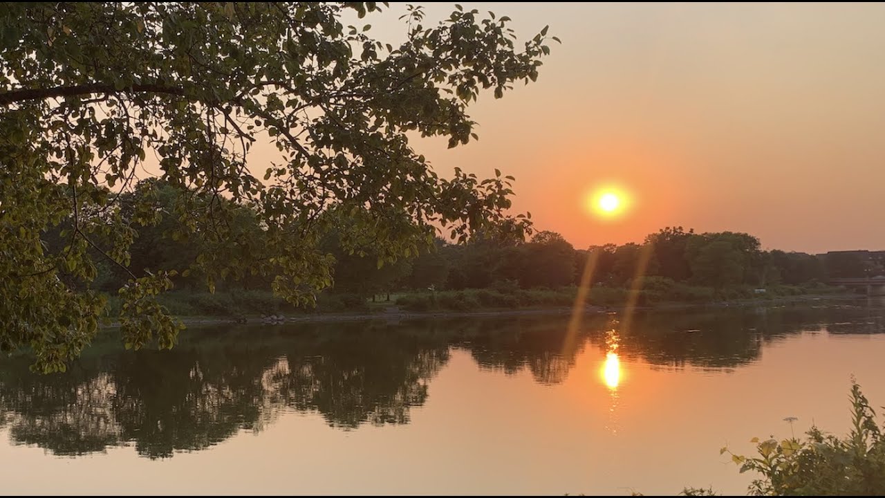 Dave Asher - What Day Is It? (Official Music Video) - YouTube