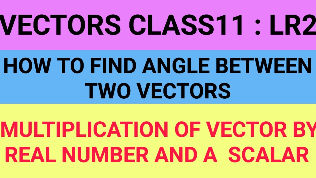 ANGLE BETWEEN TWO VECTORS || MULTIPLICATION OF A VECTOR BY REAL NUMBER ...