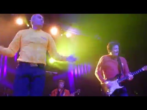 The Monkey Dance! - Wiggles Reunion, 2016