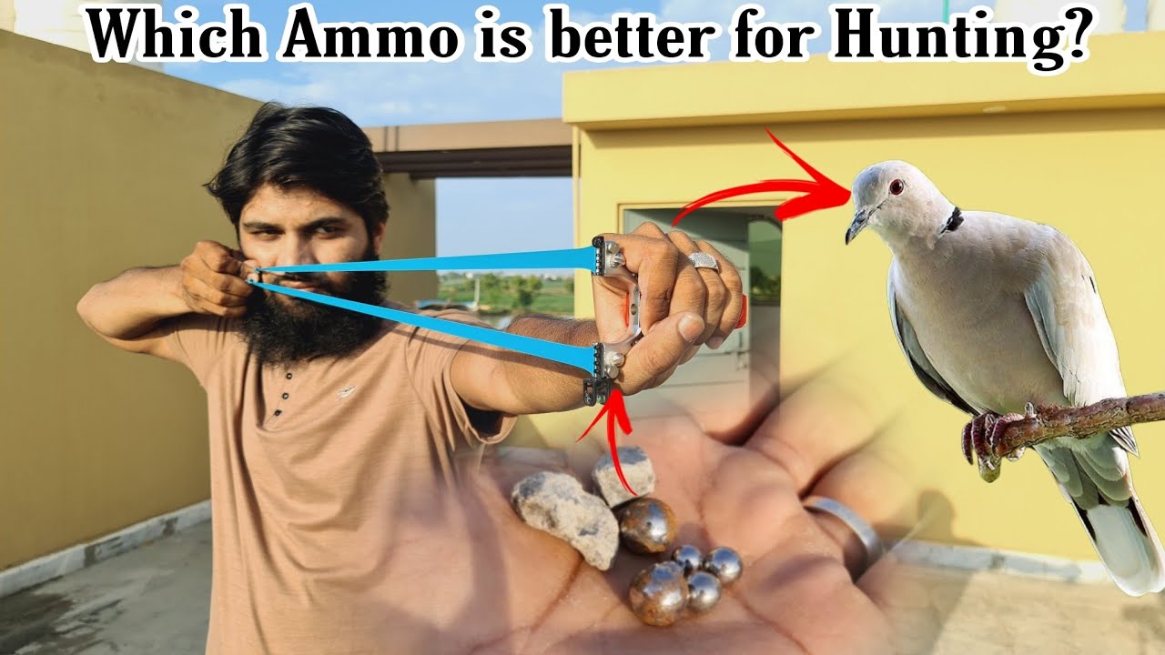 Selection of Ammo For Birds Hunting | Are Steel Bbs Or Marbles Best For ...