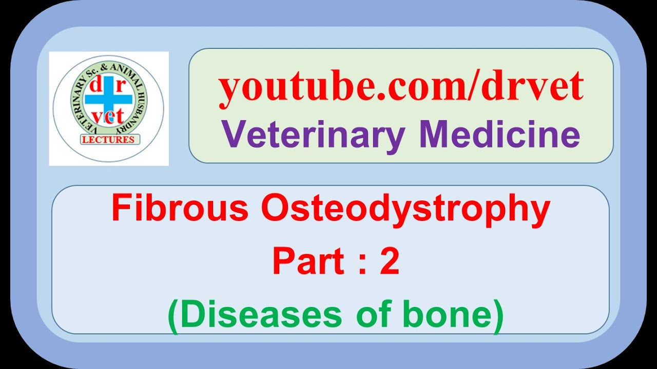 Fibrous osteodystrophy Part 2 - YouTube