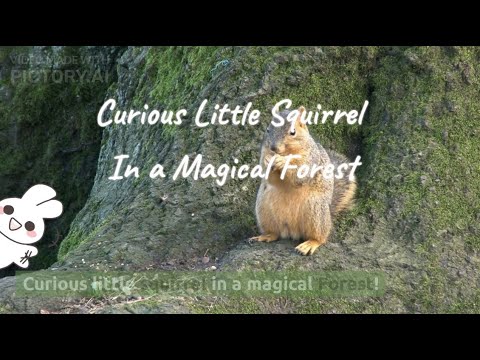 Curious little squirrel in a magical forest | Bed time Story for Kids ...