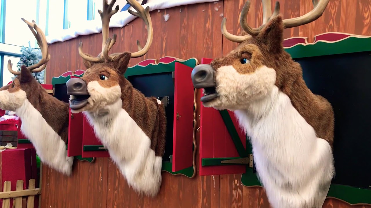 !!!Hilarious!!! Singing and dancing reindeer at Christmas !!! - YouTube