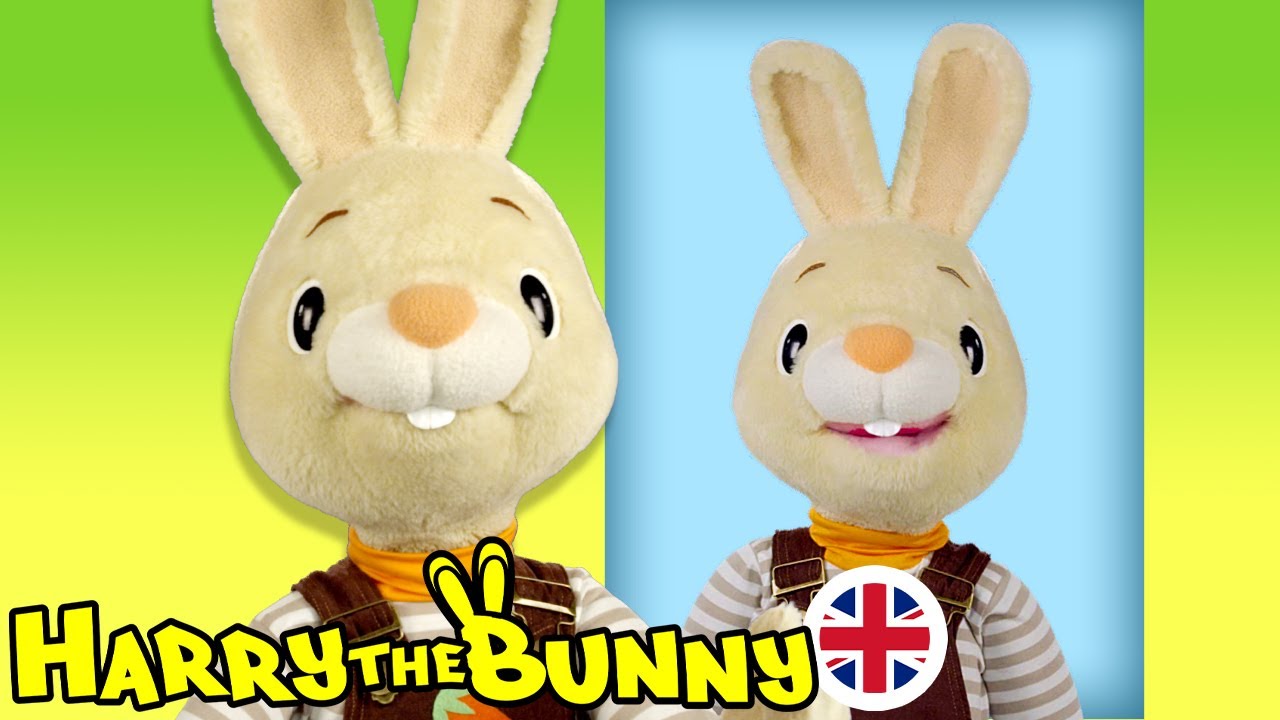 Baby Learning First Words w Harry the Bunny | On | @BabyFirst Learn ...