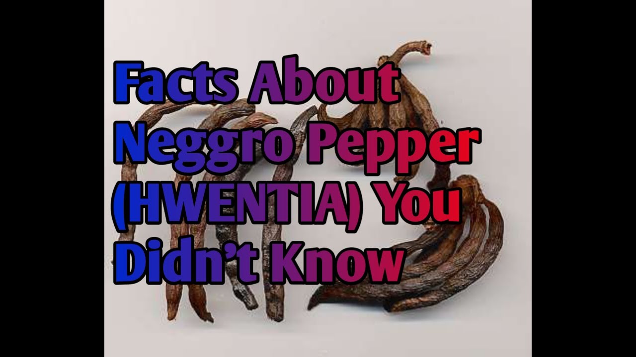 Facts About Neggro Pepper (HWENTIA) You Didn't Know [In Akan Language ...