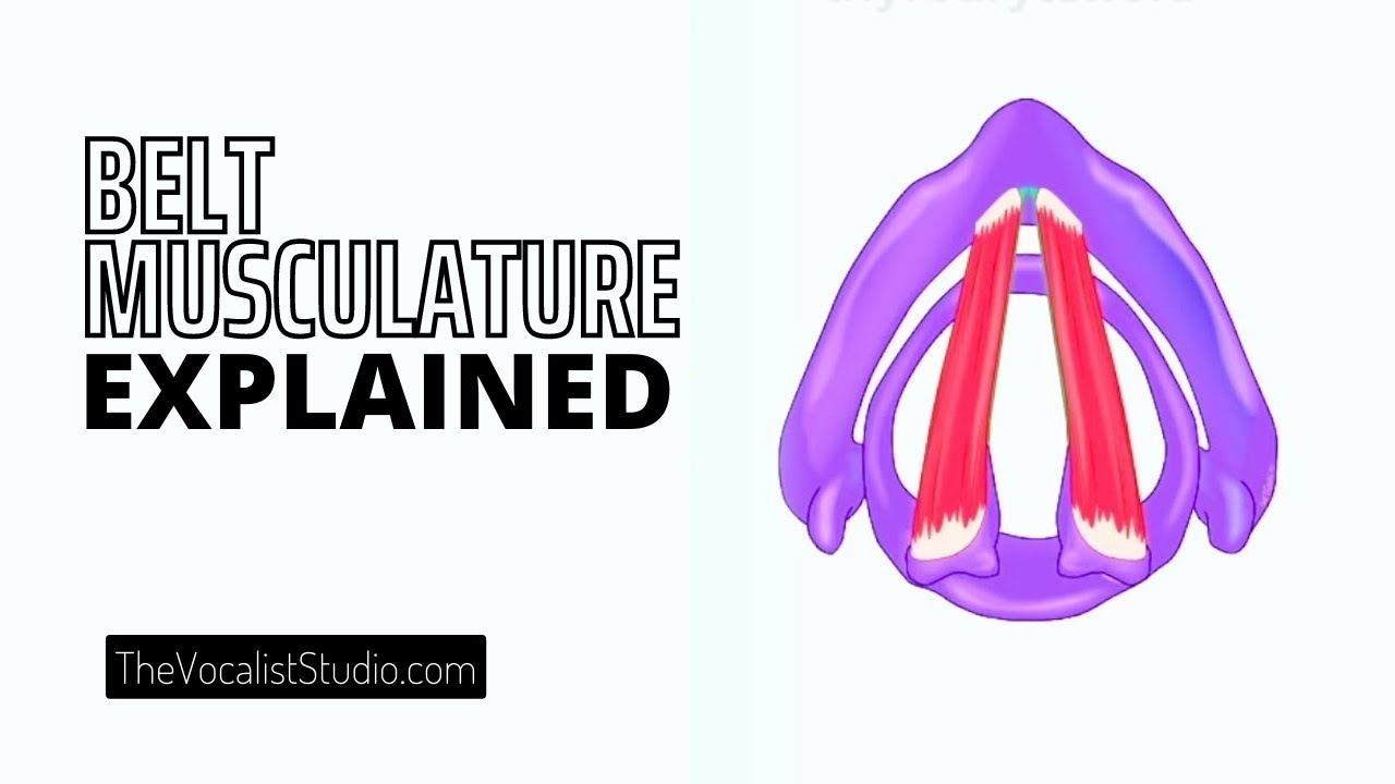 Belt Musculature Explained | Robert Lunte | The Vocalist Studio | Vocal ...