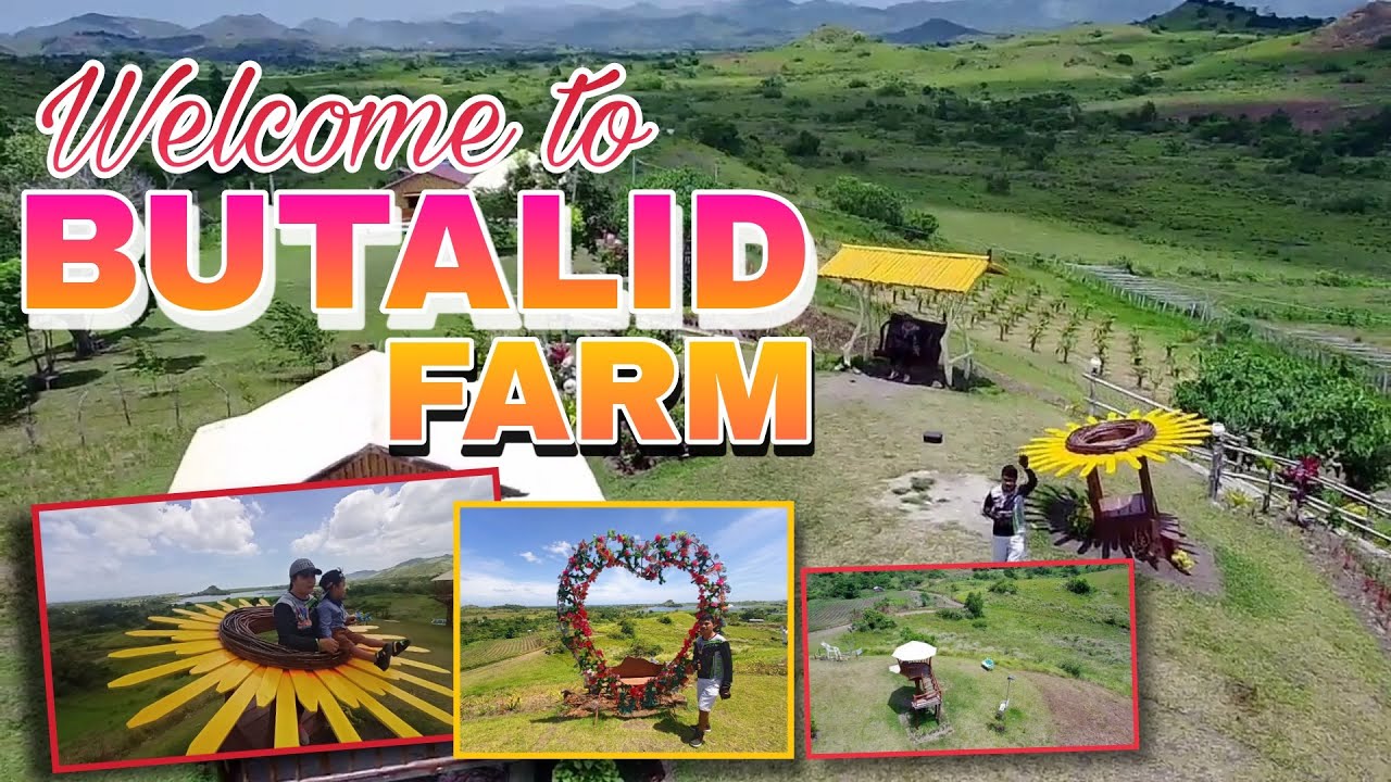 Tara sa BUTALID FARM | Sitio Luacan Brgy. Paraiso Milagros Masbate ...