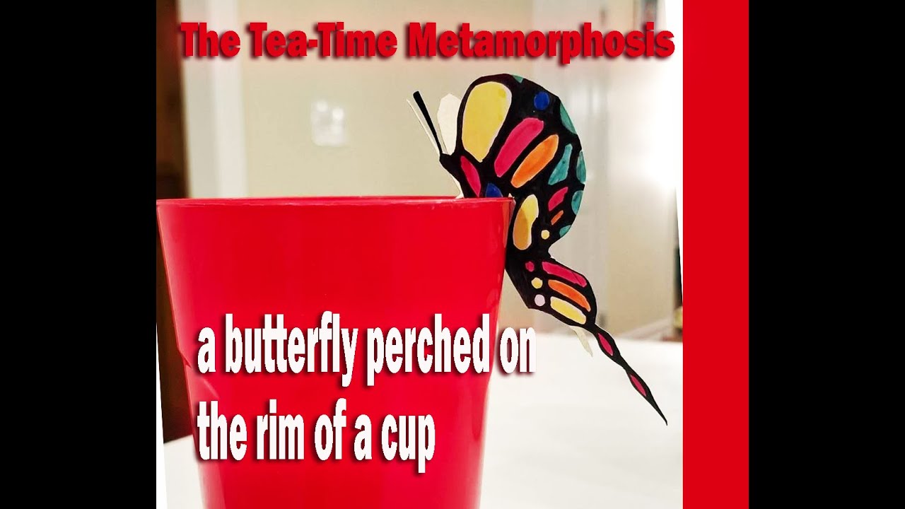 2026-01-19-The Tea-Time Metamorphosis - YouTube
