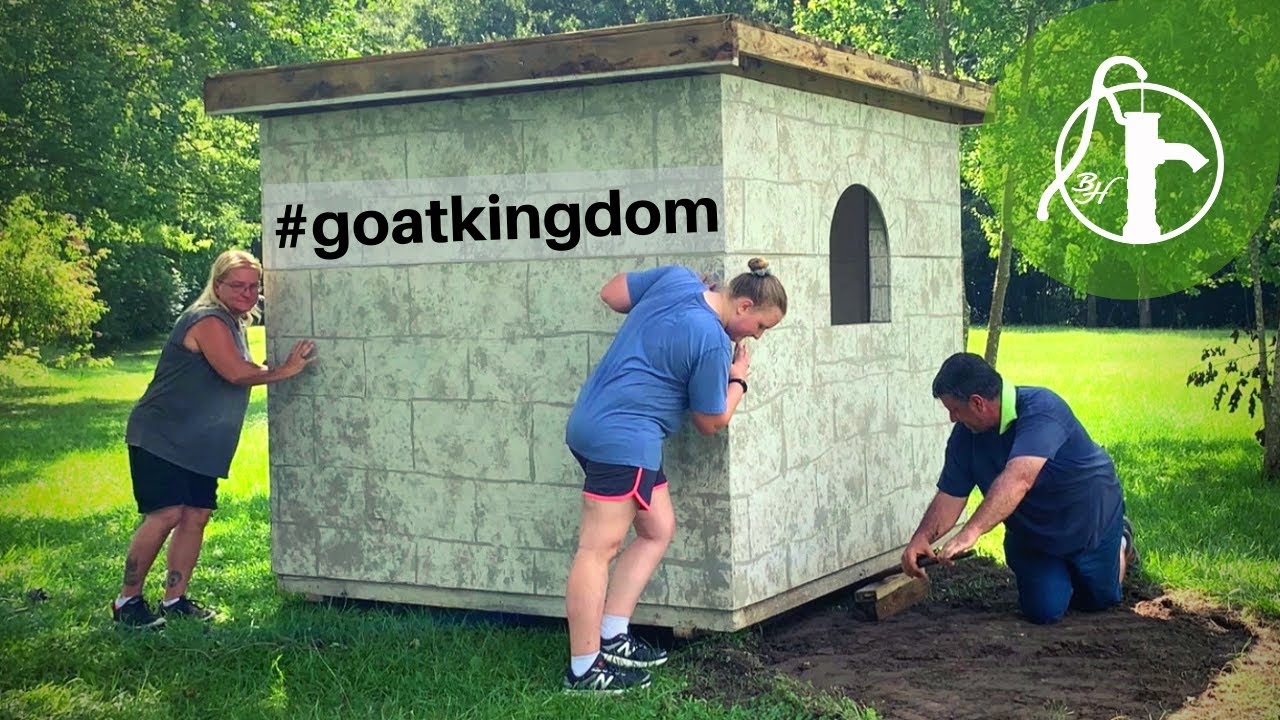 Beginnings of a GOAT KINGDOM - YouTube