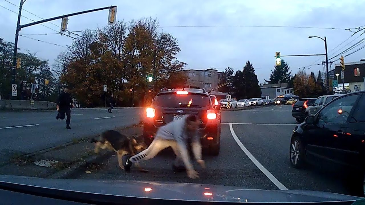 Vancouver Police K9 Takedown Caught on Dashcam - October 30, 2018 - YouTube