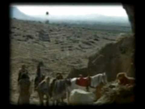 GRUP GEYLANİ - NEFSİM BENDEN NE İSTERSİN