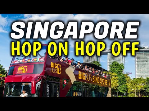Is the Singapore Hop On Hop Off Bus Right for You? | Ultimate Guide