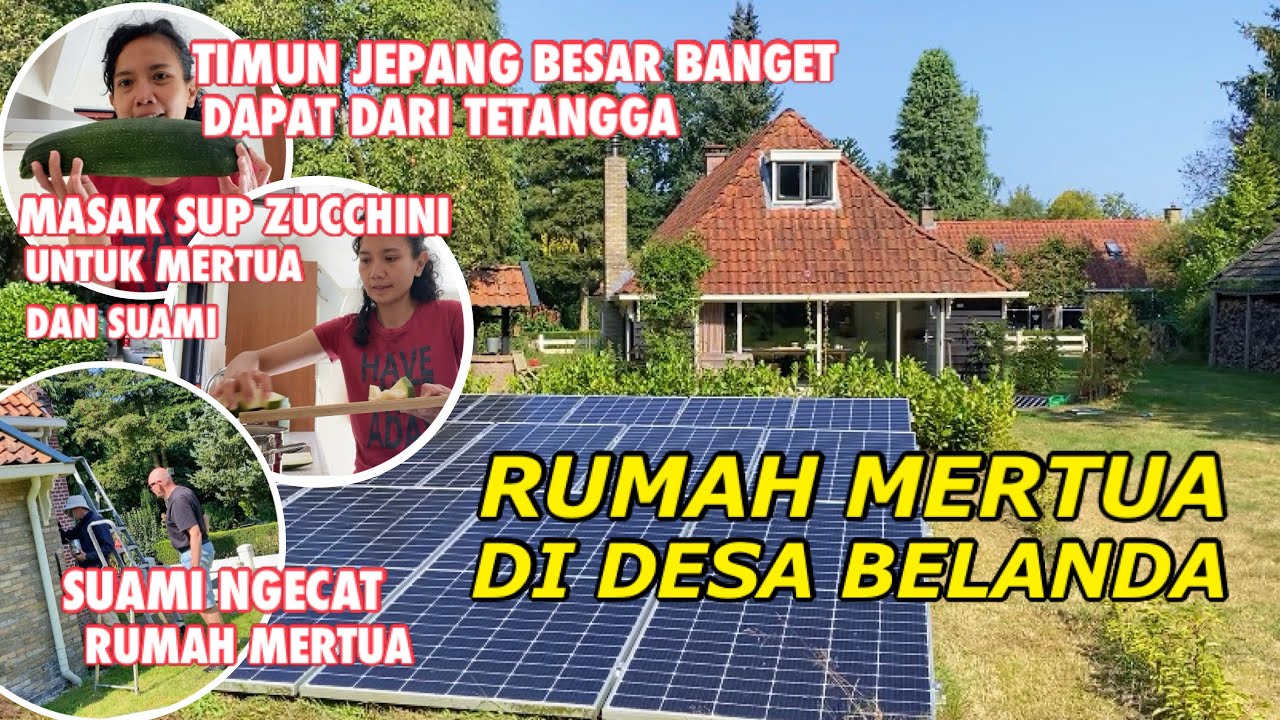 MASAK TIMUN JEPANG UNTUK MAKAN SIANG SUAMI DAN MERTUA DI DESA BELANDA ...