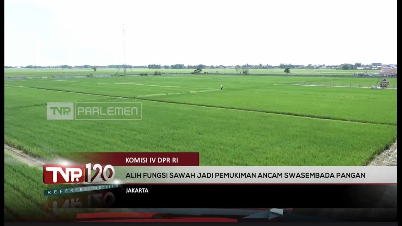ALIH FUNGSI LAHAN SAWAH ANCAM KEDAULATAN PANGAN - NEWS POINT - YouTube
