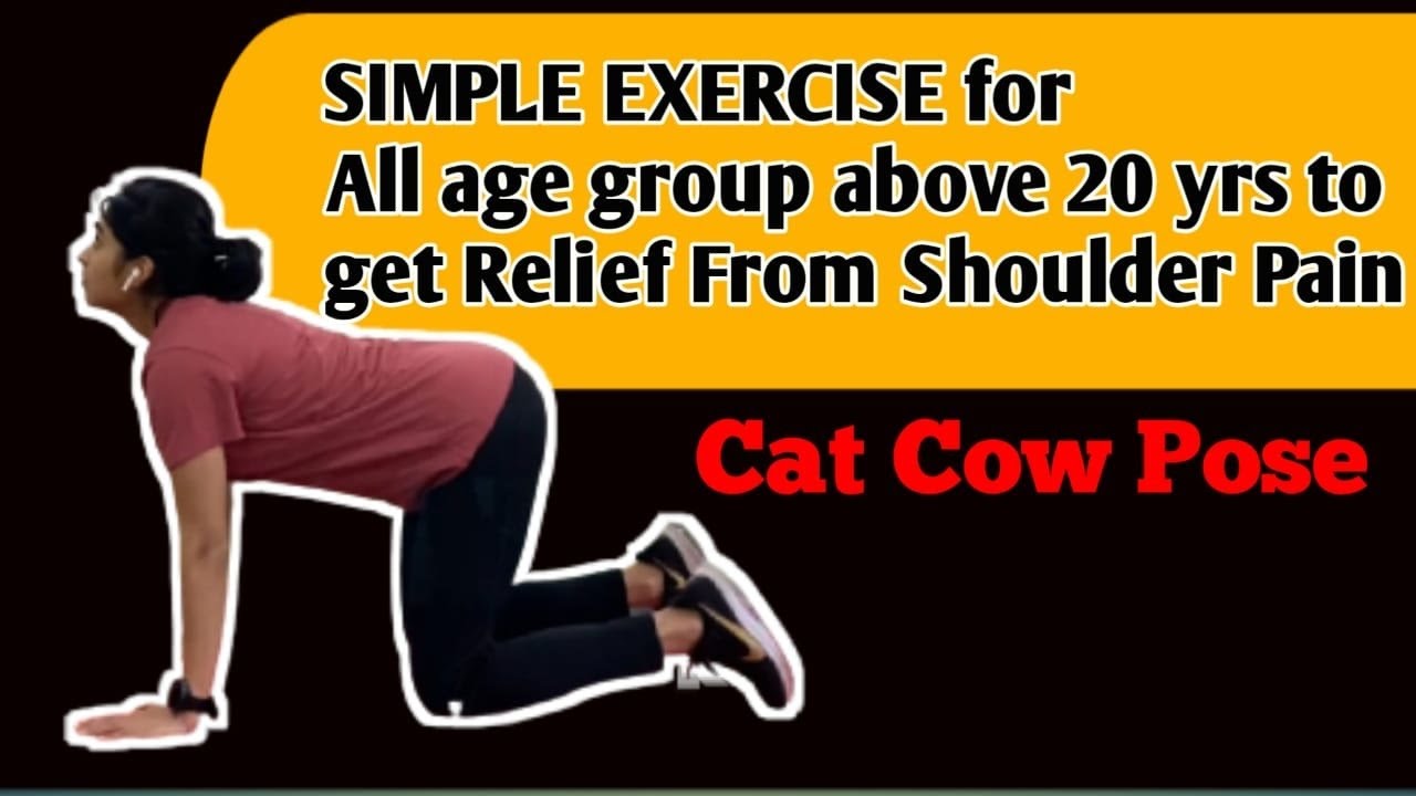 How to Do Cat Cow Pose Chakravakasana in Yoga - YouTube
