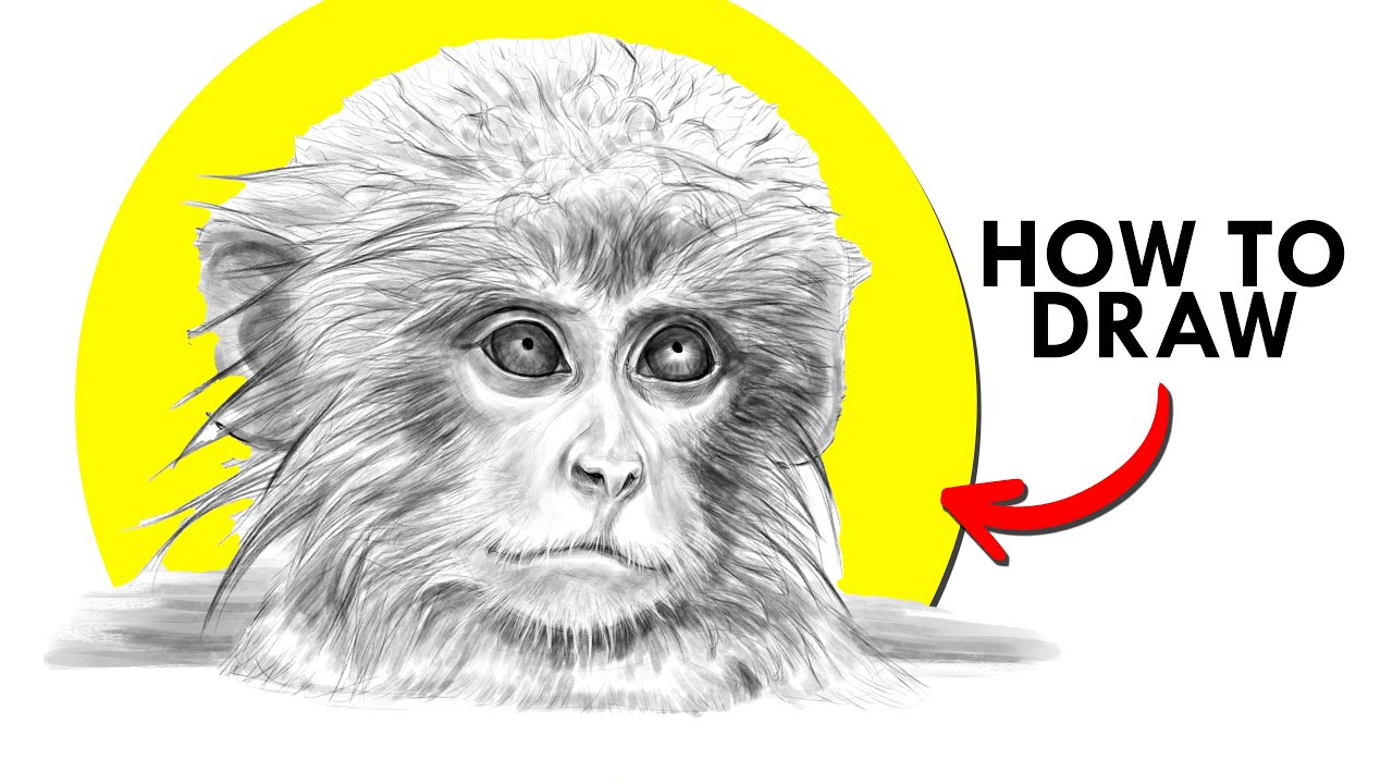 Japanese Macaque Drawing Monkeys By A Stream | Cleveland Museum Of Art