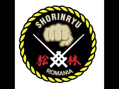 Asociatia Shorin Ryu Karate-do & Kobudo Romania, Kyoshi Alexandru ...