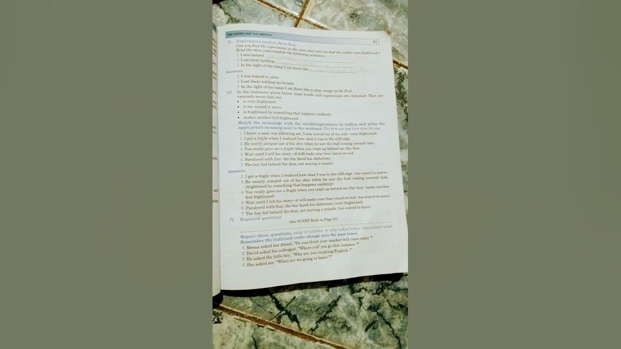 English Ch 5 Beehive The Snake And Mirror shorts study trending english-ch-5-beehive-the-snake-and-mirror-shorts-study-trending