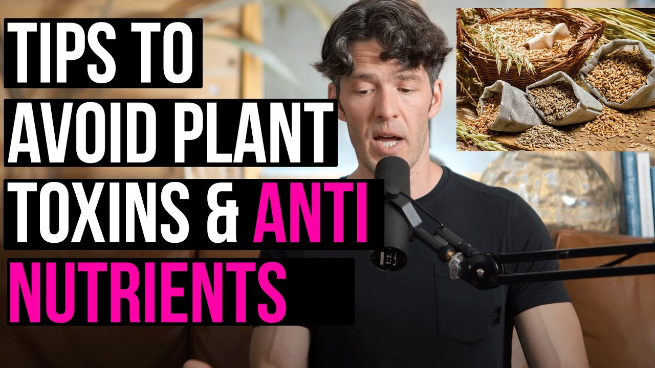 Digestive Issues Solved by Avoiding Plant Anti-Nutrients: Oxalates ...