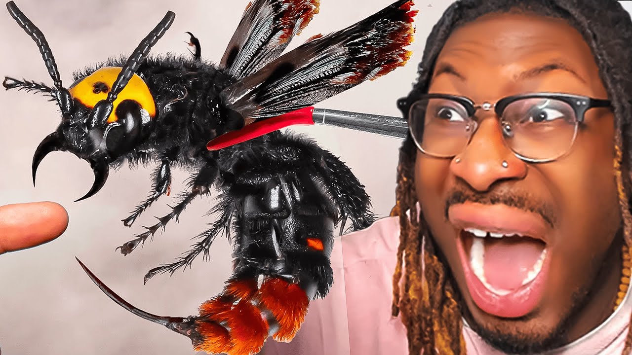 They Get STUNG by the MOST Dangerous Wasp.. why? 😭 - YouTube
