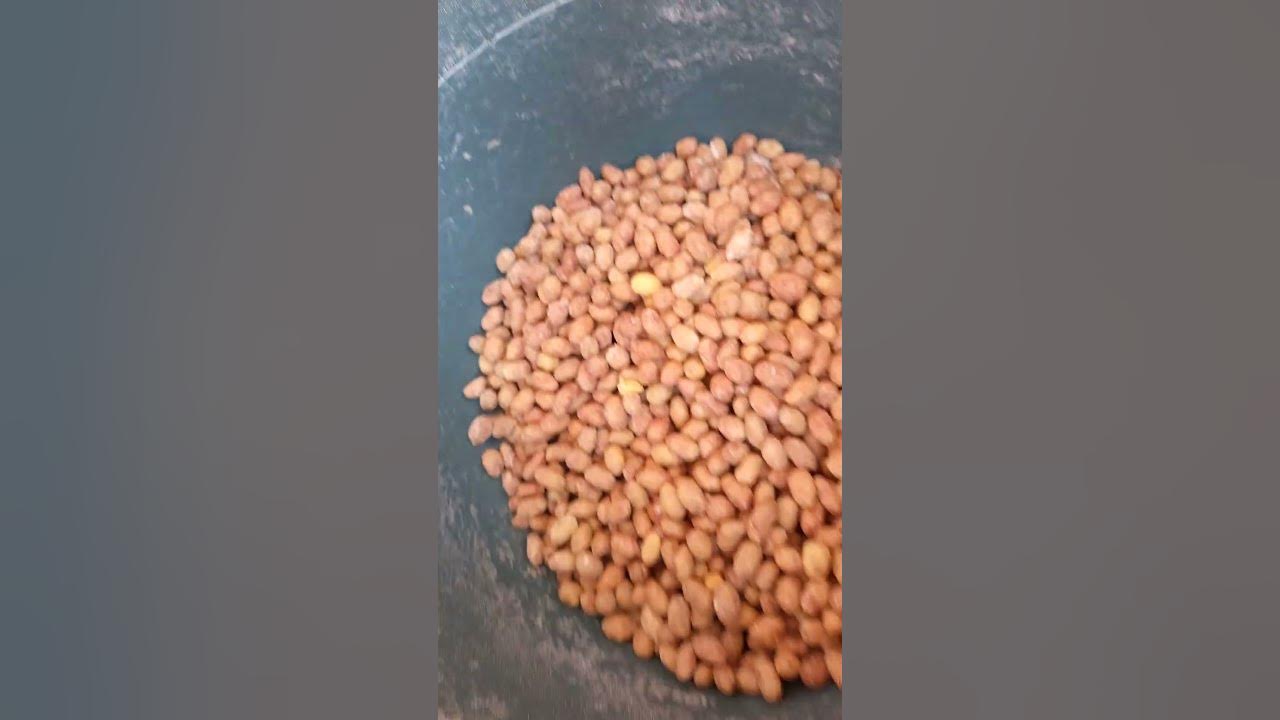 peanut coding process - YouTube