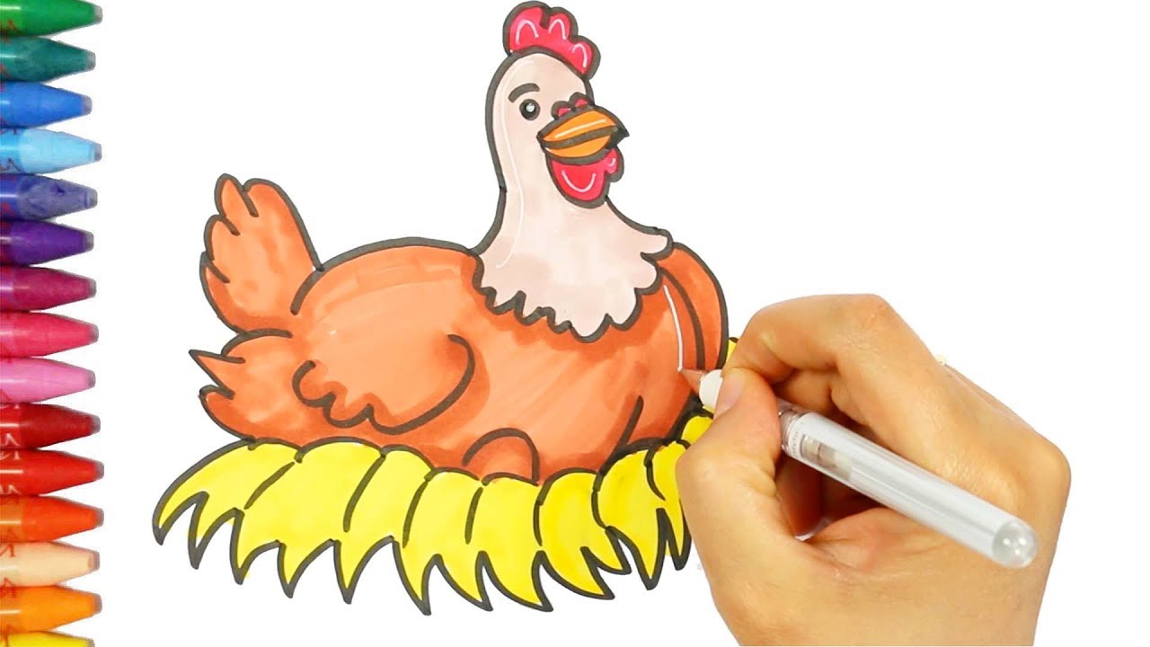 Come disegnare e colorare un pollo | Come disegnare e colora per i ...