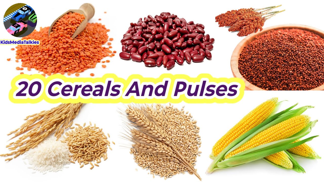 Pictures Of Cereals And Pulses With Names