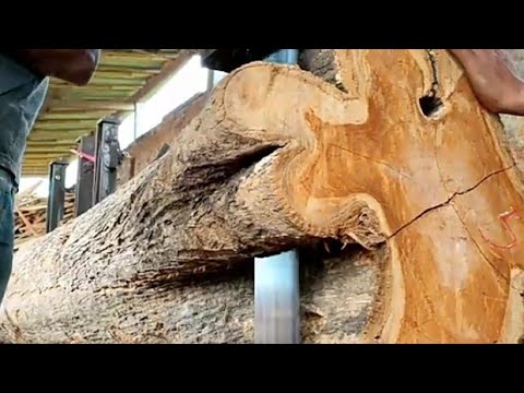 ahşabı kesmek yorucudur. kereste fabrikası