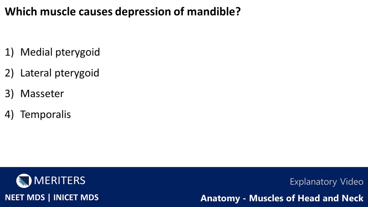NEET MDS | INICET - Anatomy - Muscles of Head and Neck | Explanatory ...