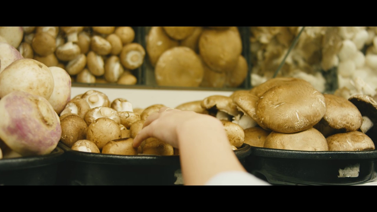 Rise - A Promotional Commercial from DietMaster Pro - YouTube