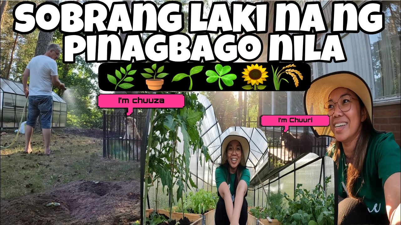 Sobrang laki na ng pagbabago ng aming mga halaman | Filipina living in ...