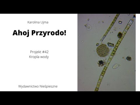 Projekt #41 Kropla wody pod mikroskopem - YouTube