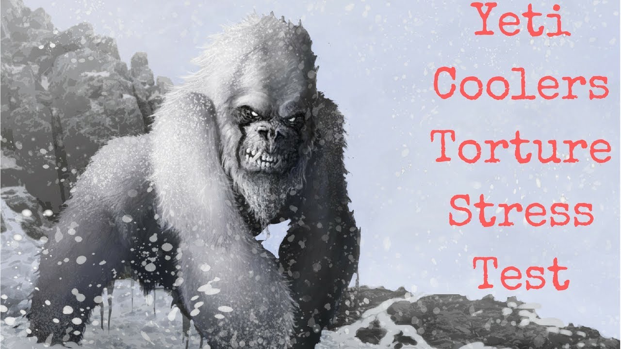 Yeti Coolers Torture Stress Test - YouTube
