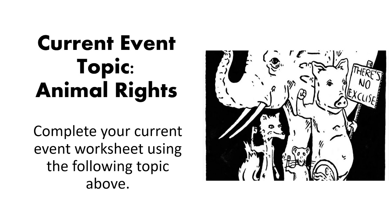 Global Current Event Animal Rights 5 8 - YouTube