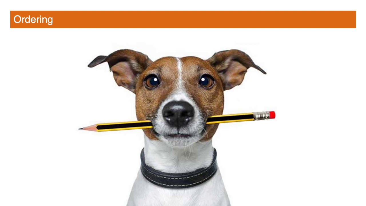 Writing an Epic Executive Summary - YouTube