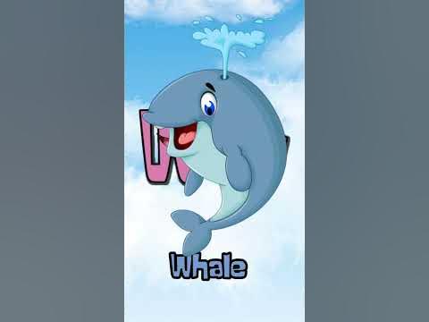 W for Whale | Learn alphabets with live examples|phonics|alphabets|kids ...