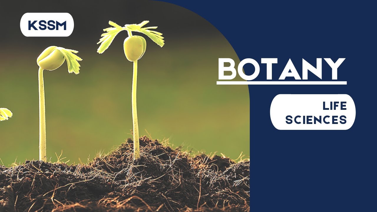 Life Sciences | Botany - YouTube