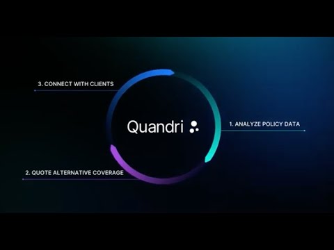 Quandri Demo Video - YouTube