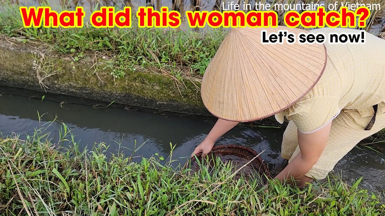 catch fish in ditches - YouTube